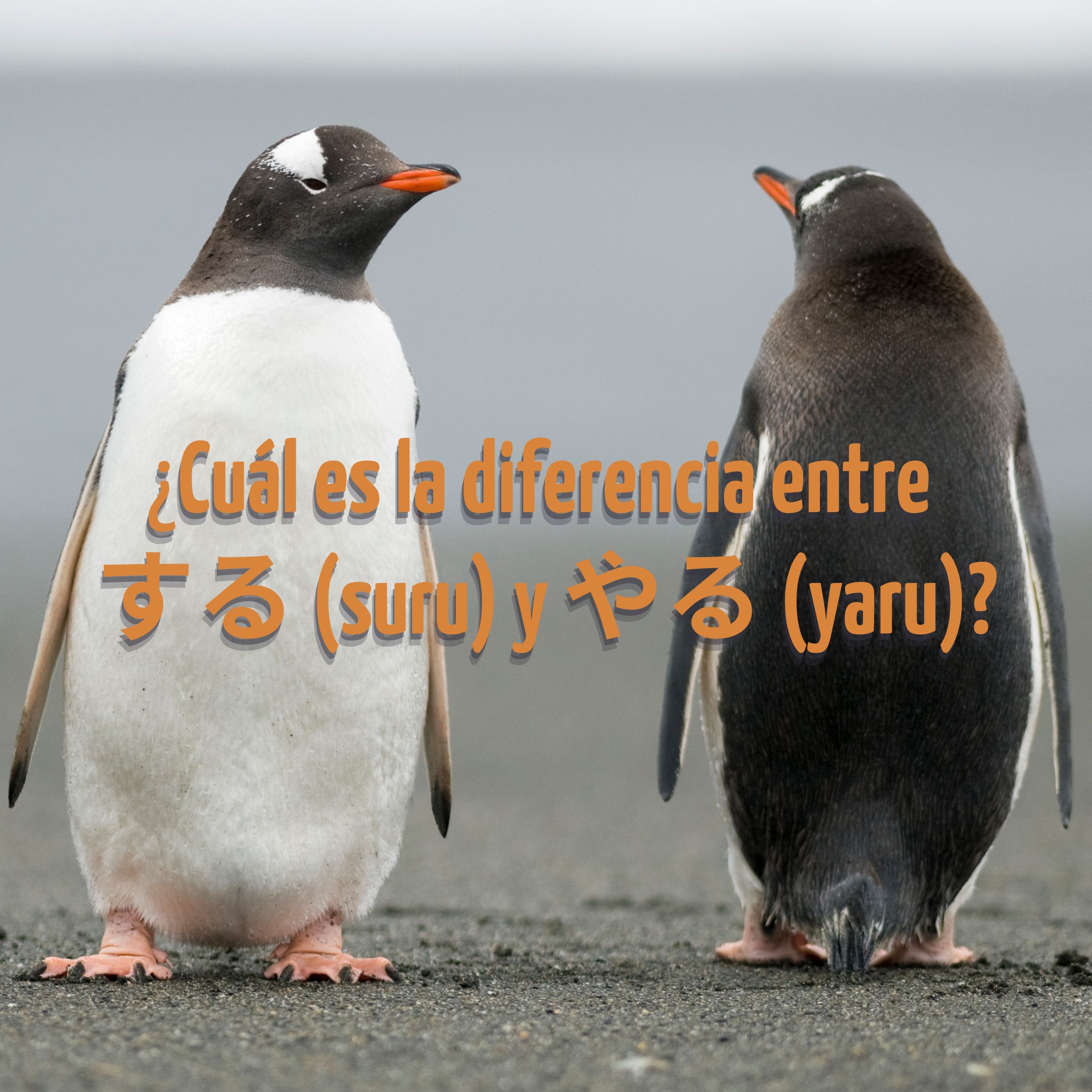 ¿Cuál es la diferencia entre する suru y やる yaru? - Conociendo Japón